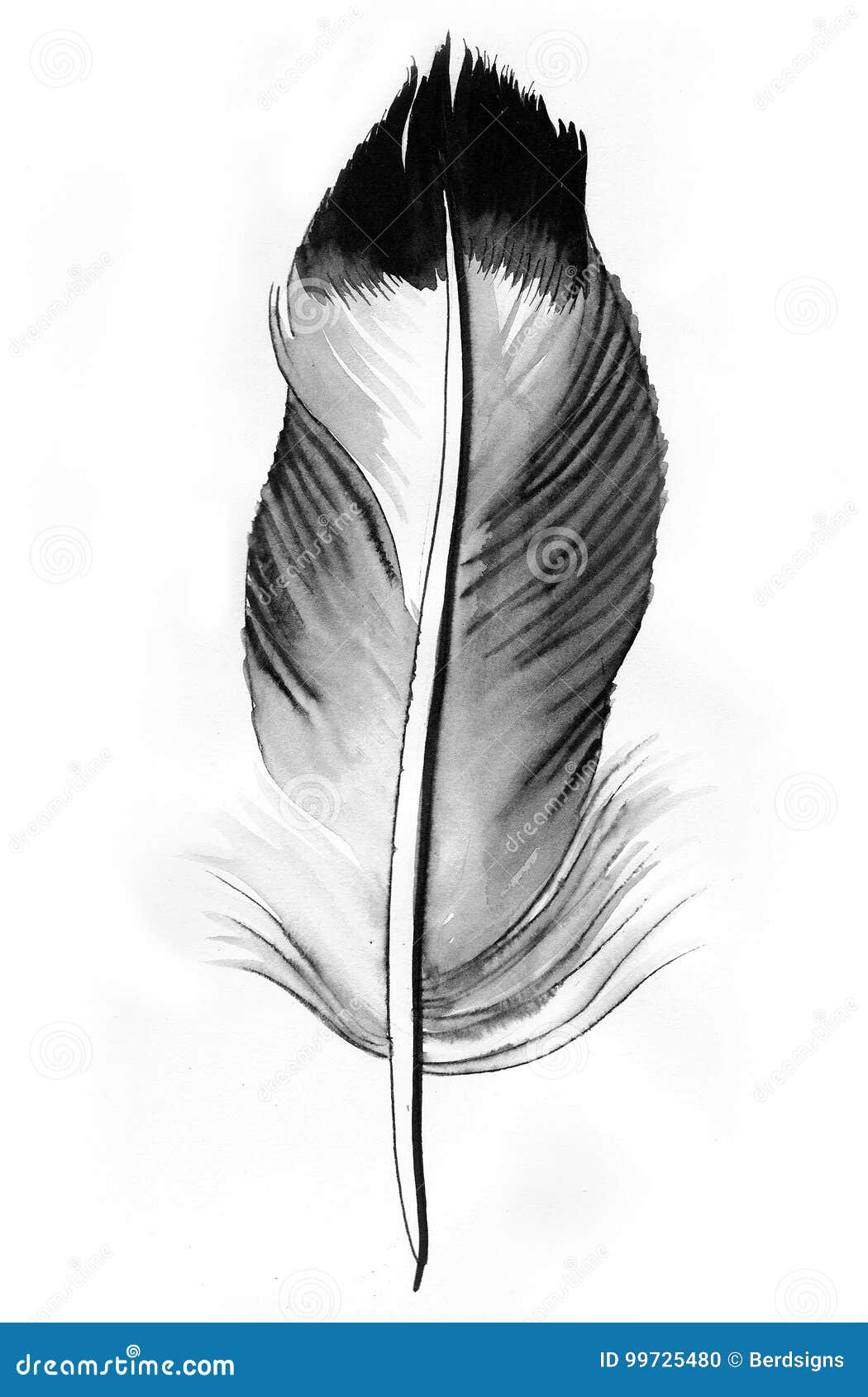 Pluma gris stock de ilustración. Ilustración de gris - 99725480