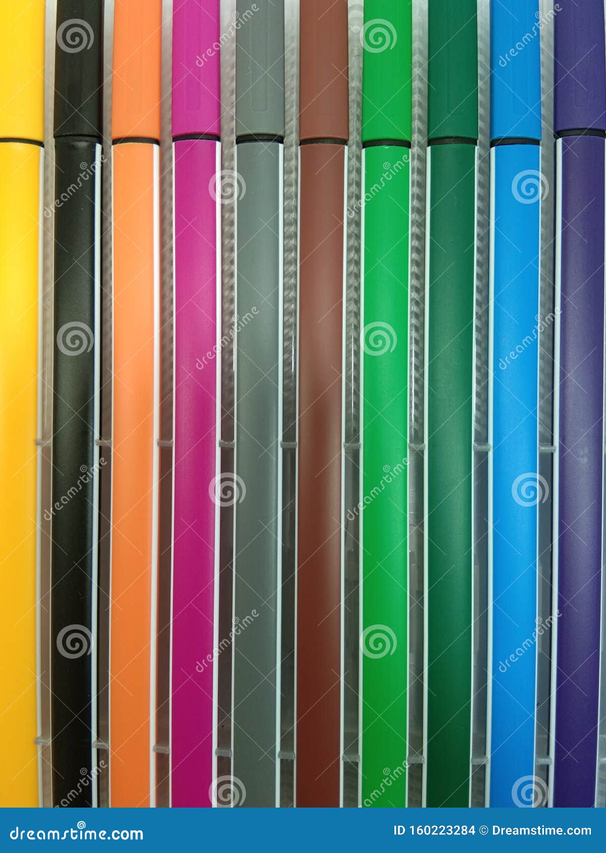 Pluma Multicolor Y Fondo Blanco Foto de archivo - Imagen de hermoso ...