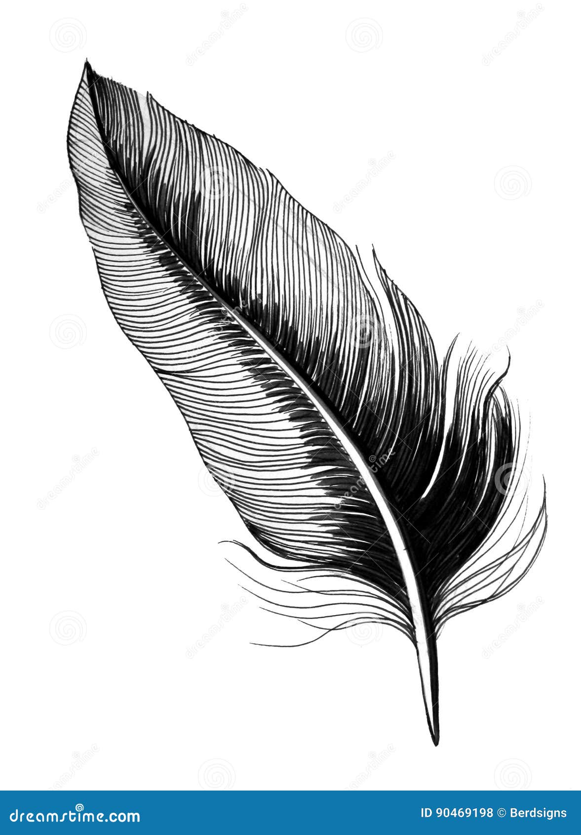 Pluma negra stock de ilustración. Ilustración de animal - 90469198