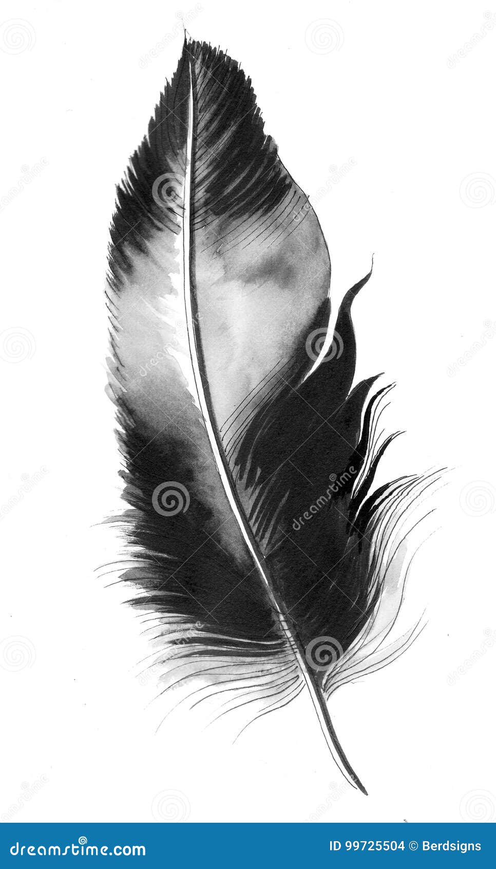 Pluma negra stock de ilustración. Ilustración de cubo - 99725504