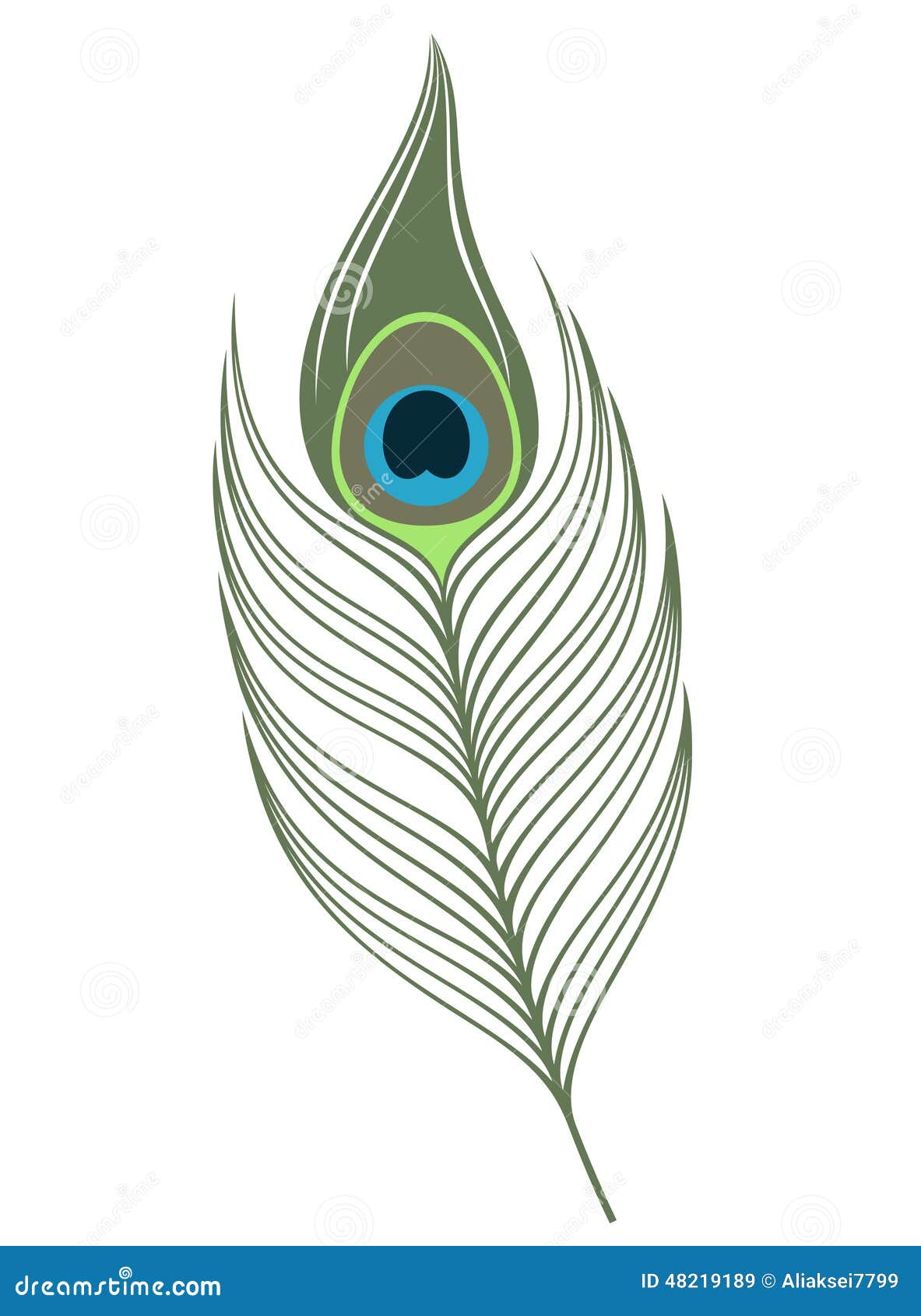 Pluma Pavo real ilustración del vector. Ilustración de elemento - 48219189