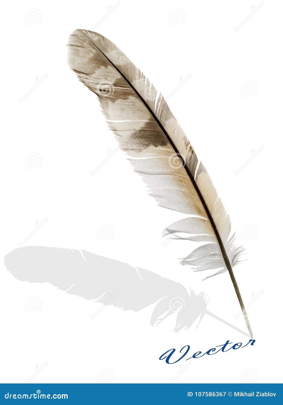 Pluma realista del vector ilustración del vector. Ilustración de ...