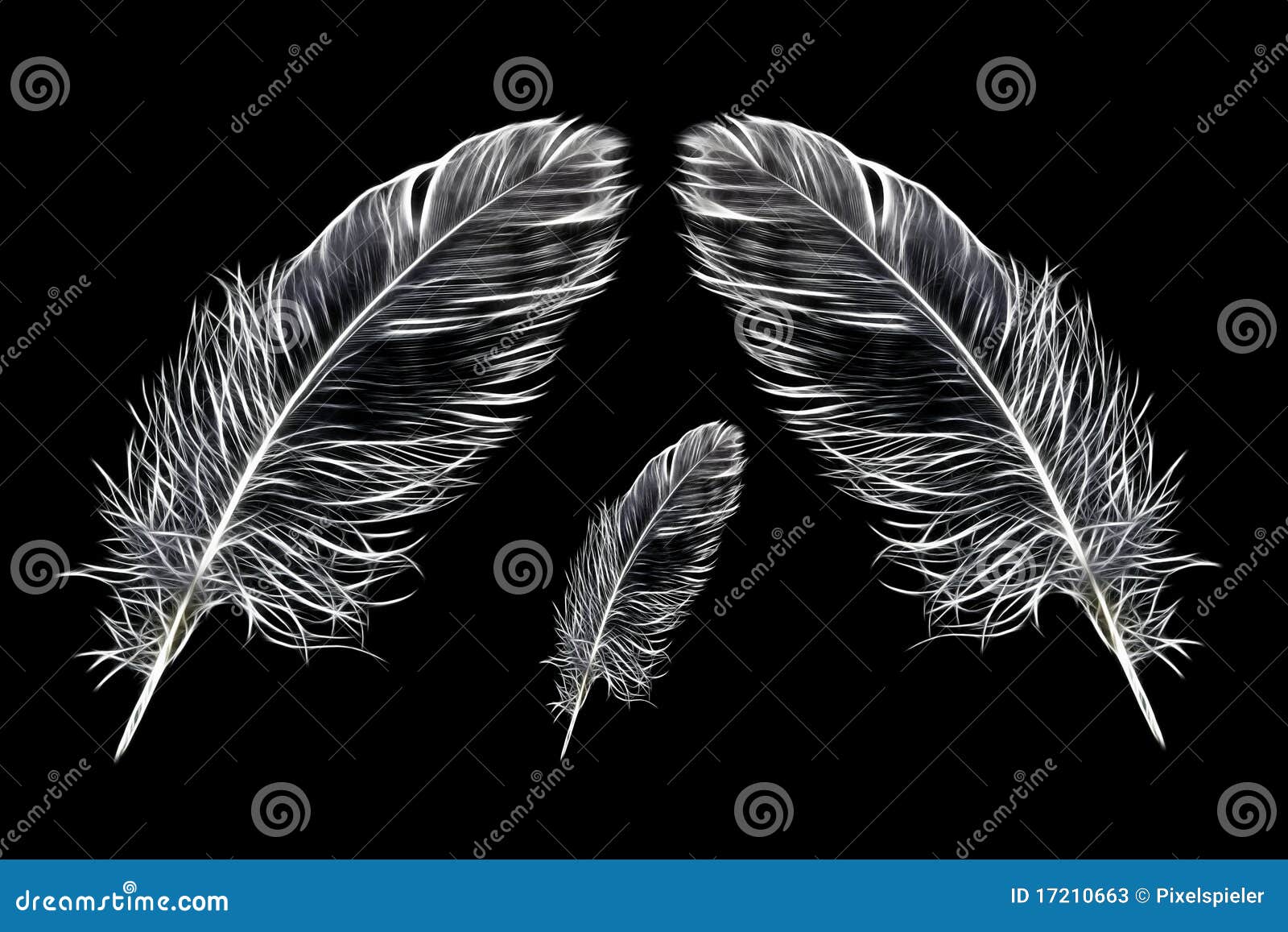 Pluma/resorte imagen de archivo. Imagen de negro, romance - 17210663