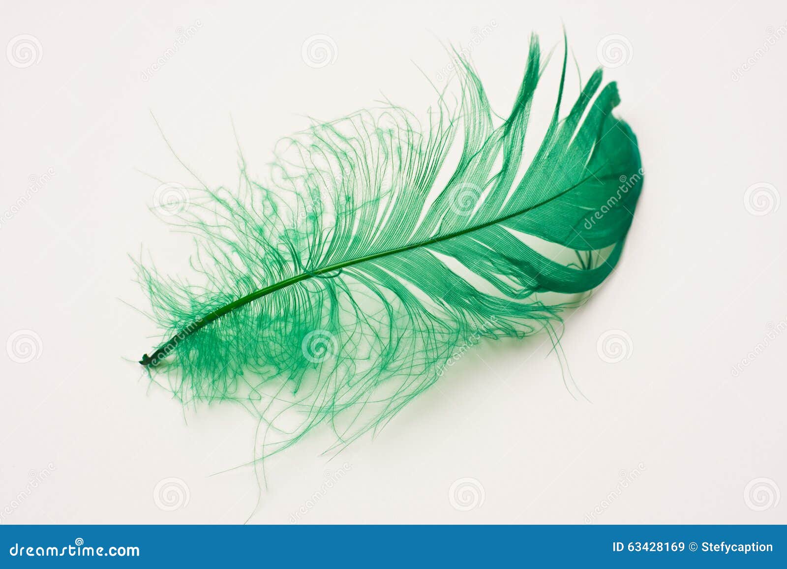 Pluma verde imagen de archivo. Imagen de macro, conceptos - 63428169