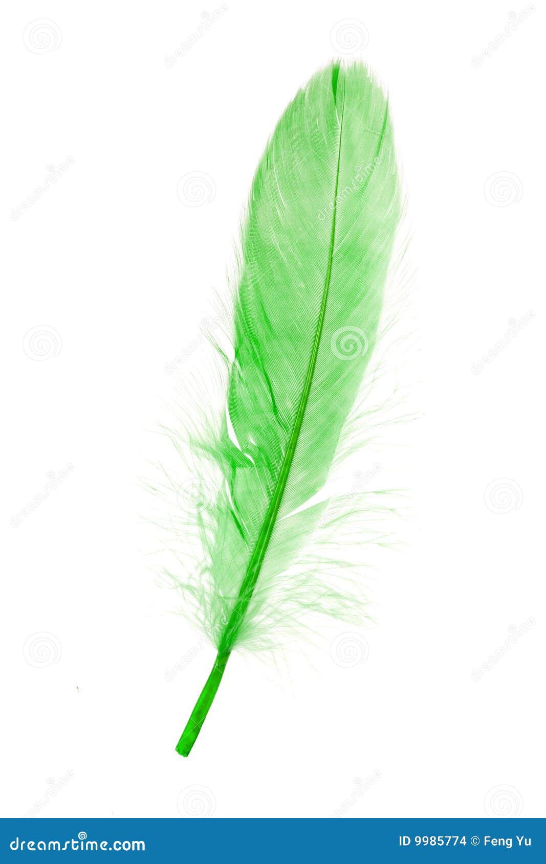 Pluma verde foto de archivo. Imagen de fondo, mullido - 9985774