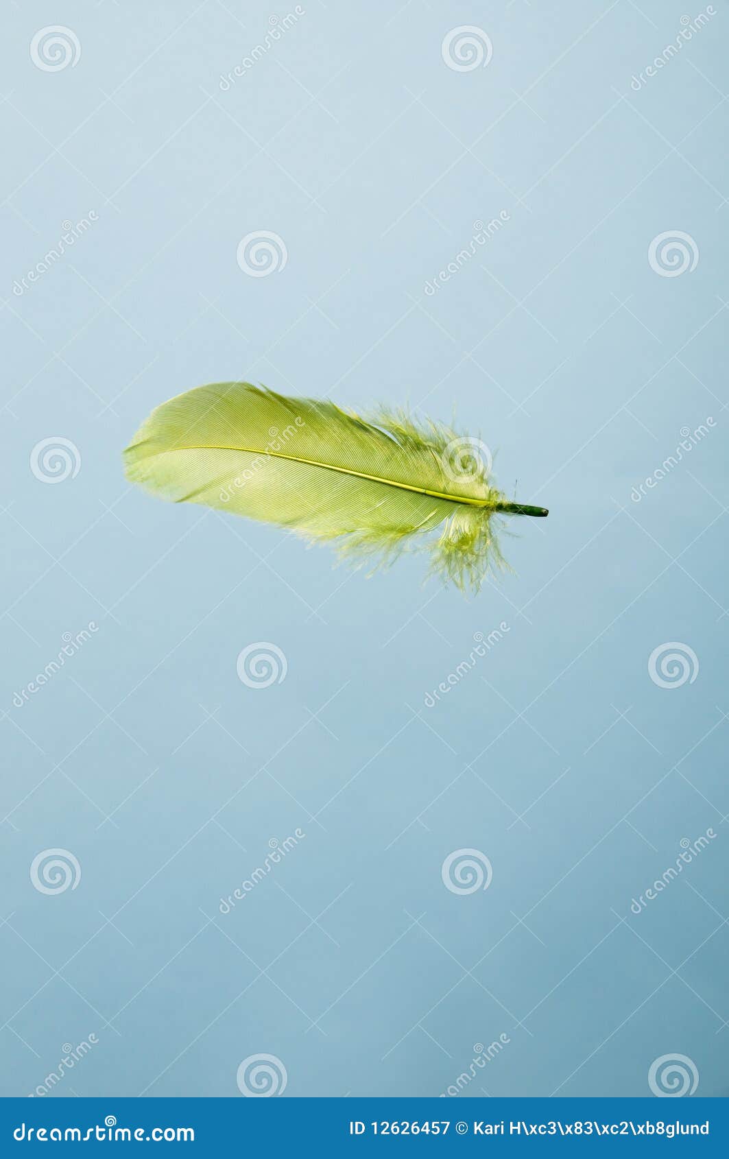 Pluma Verde En El Cielo Azul Imagen de archivo - Imagen de ideas ...