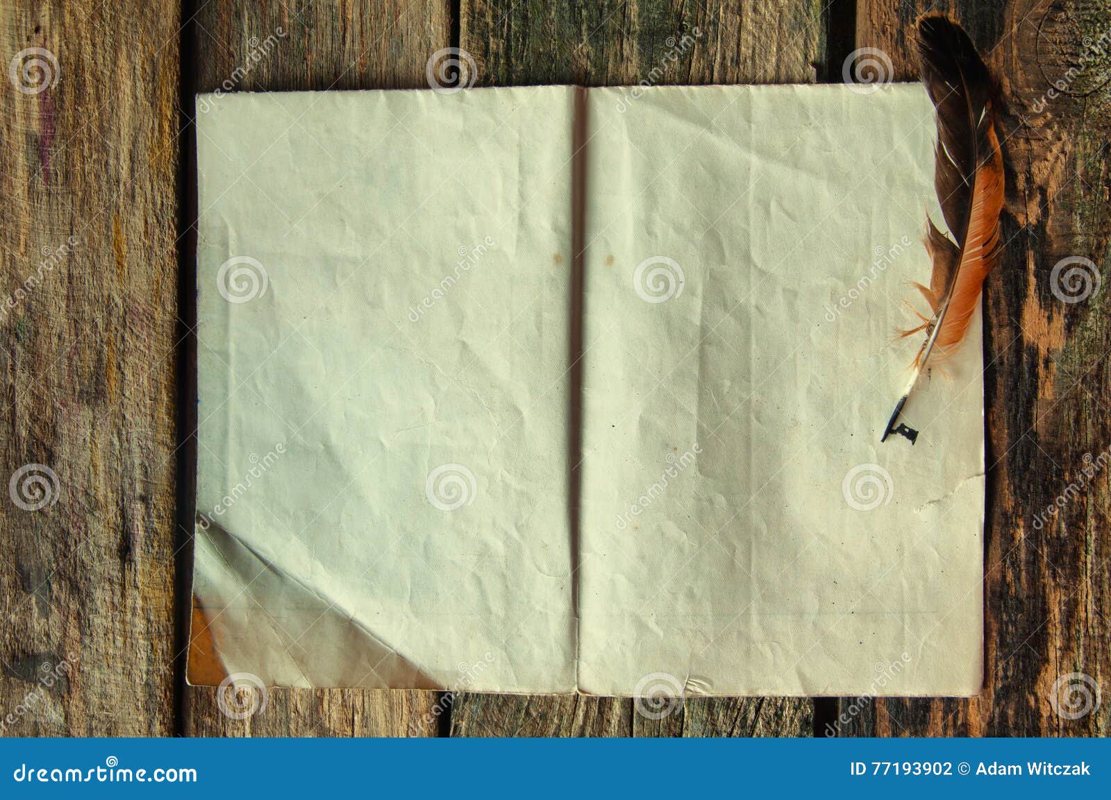 Pluma Y Papel Con El Espacio Del Texto Foto de archivo - Imagen de ...