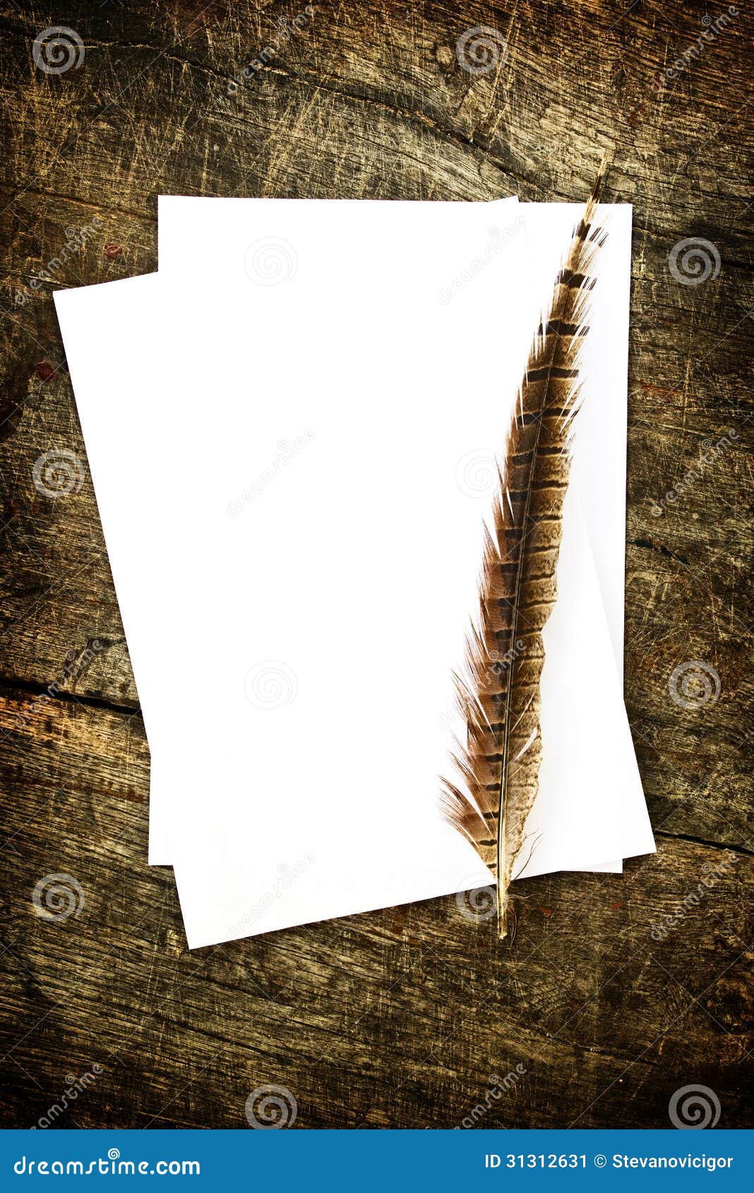 Pluma y papel en blanco imagen de archivo. Imagen de papel - 31312631