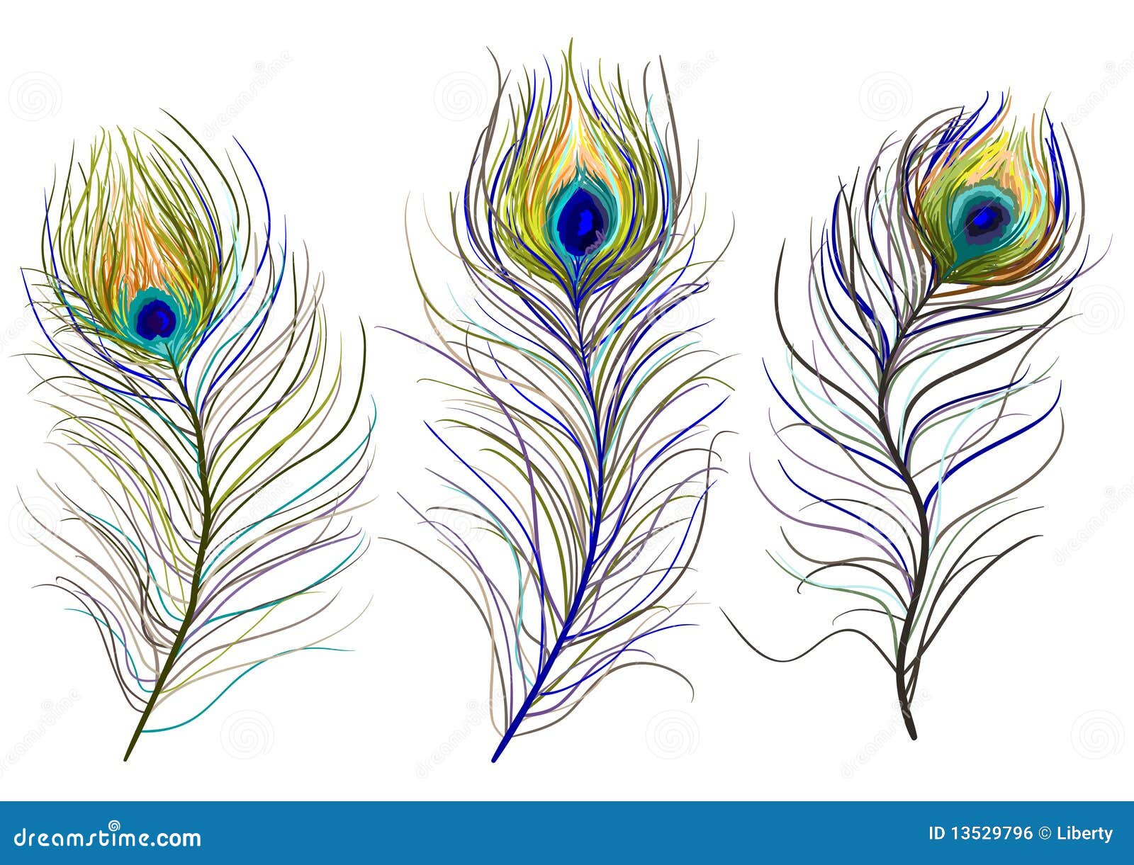 Plumas del pavo real stock de ilustración. Ilustración de pluma - 13529796