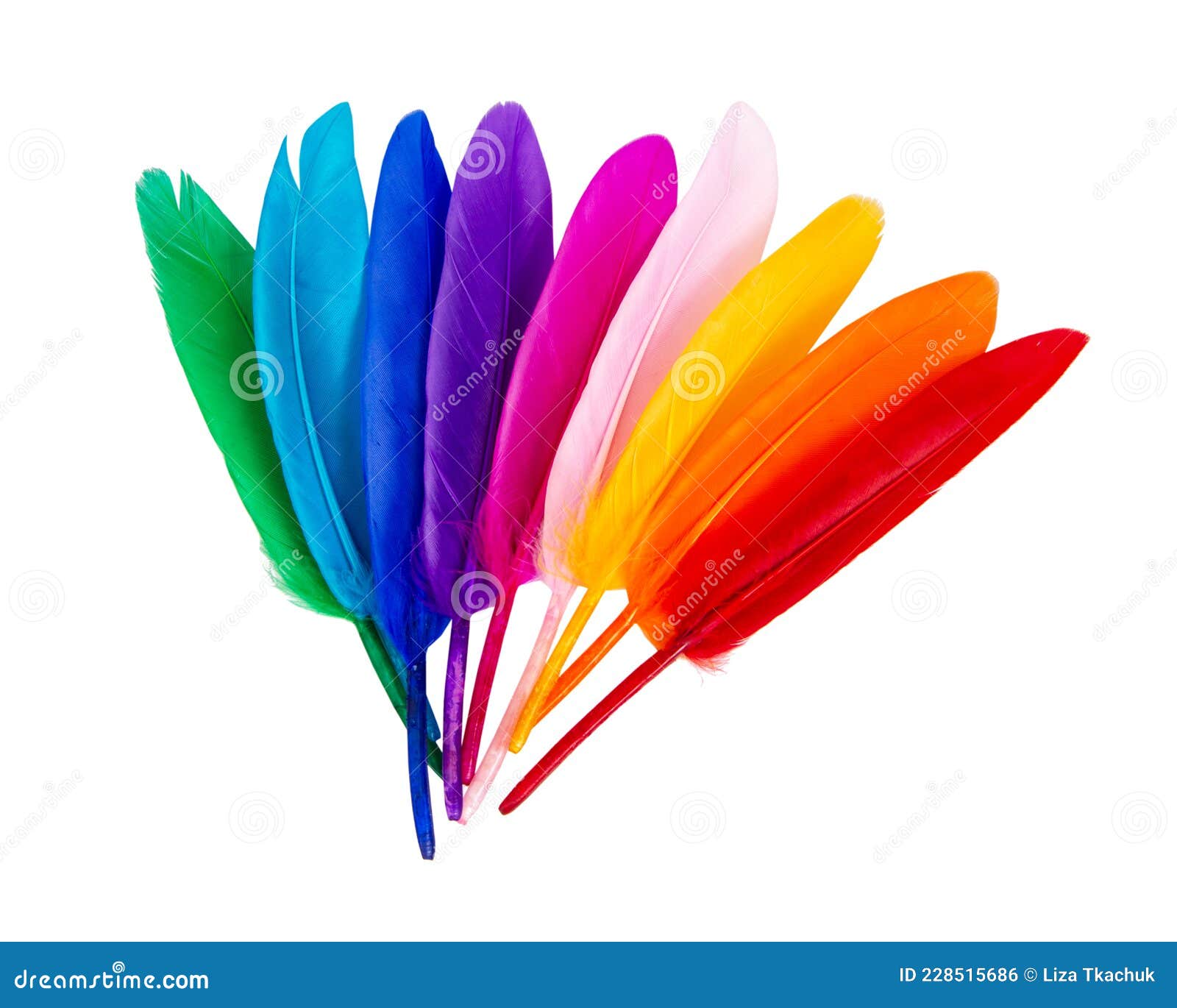 Plumas Multicolores Aisladas En El Fondo Blanco Foto de archivo ...