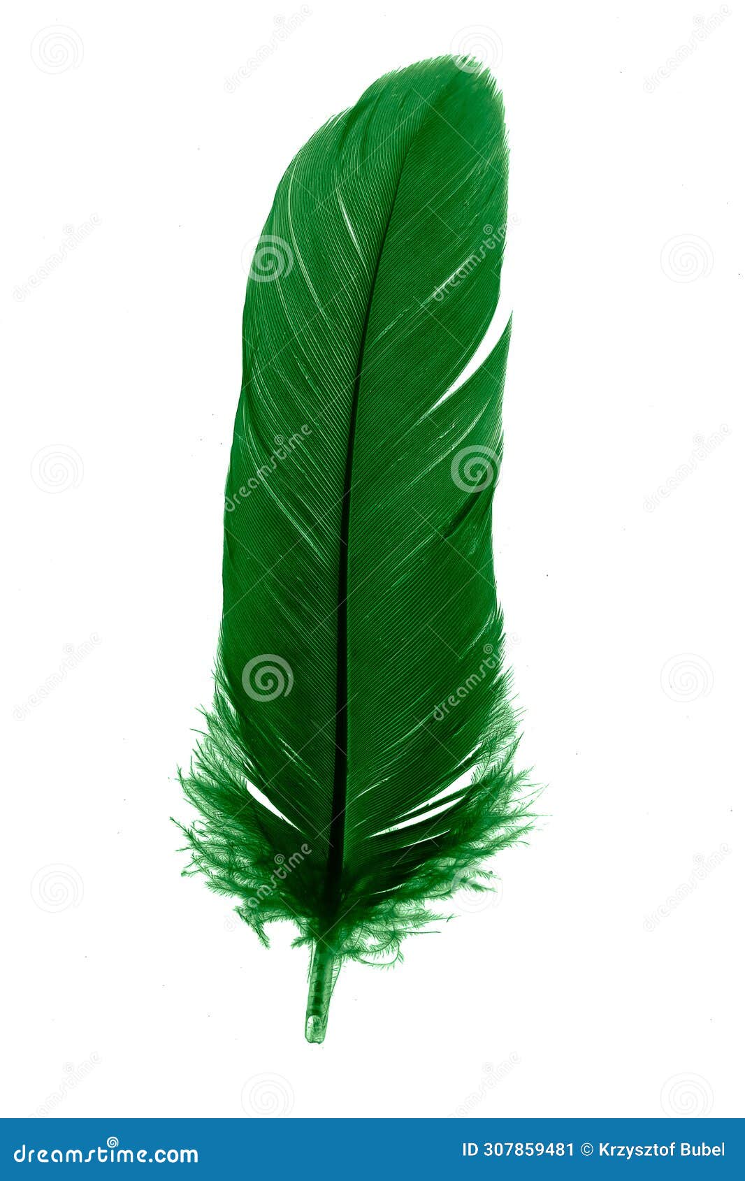 Plumas Verdes Sobre Fondo Blanco Aislado Stock de ilustración ...