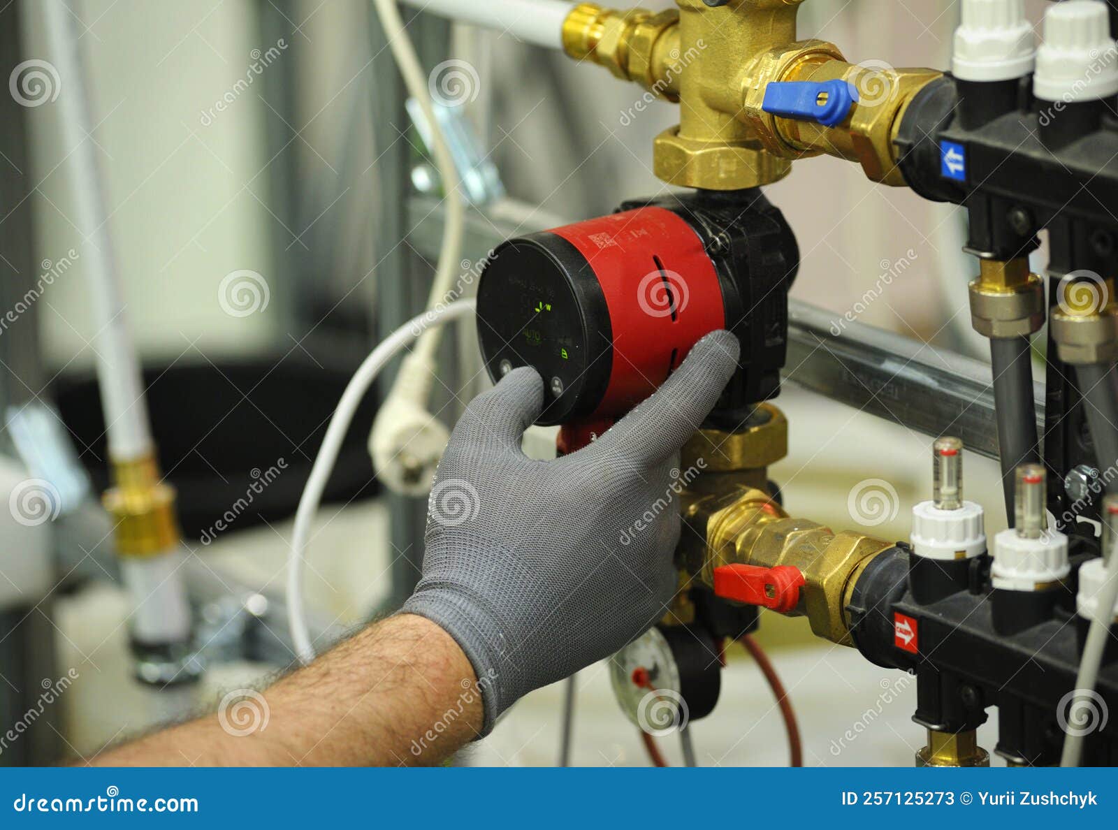 Plumber Hands Installing Circulation Pump for Heating System Stock ...