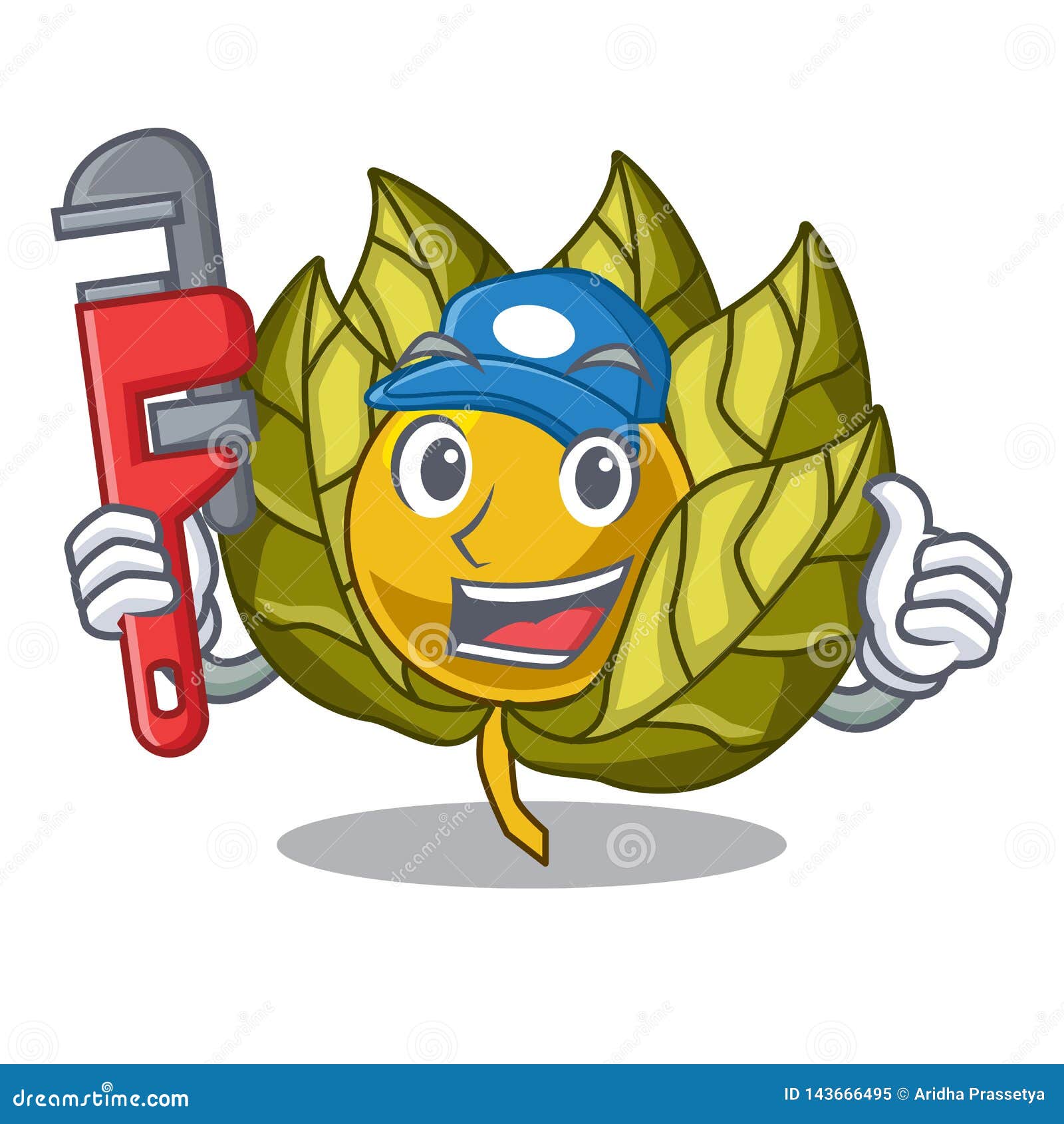 Plumber Physalis Fruit in the Cartoon Shape Stock Vector - Illustration ...