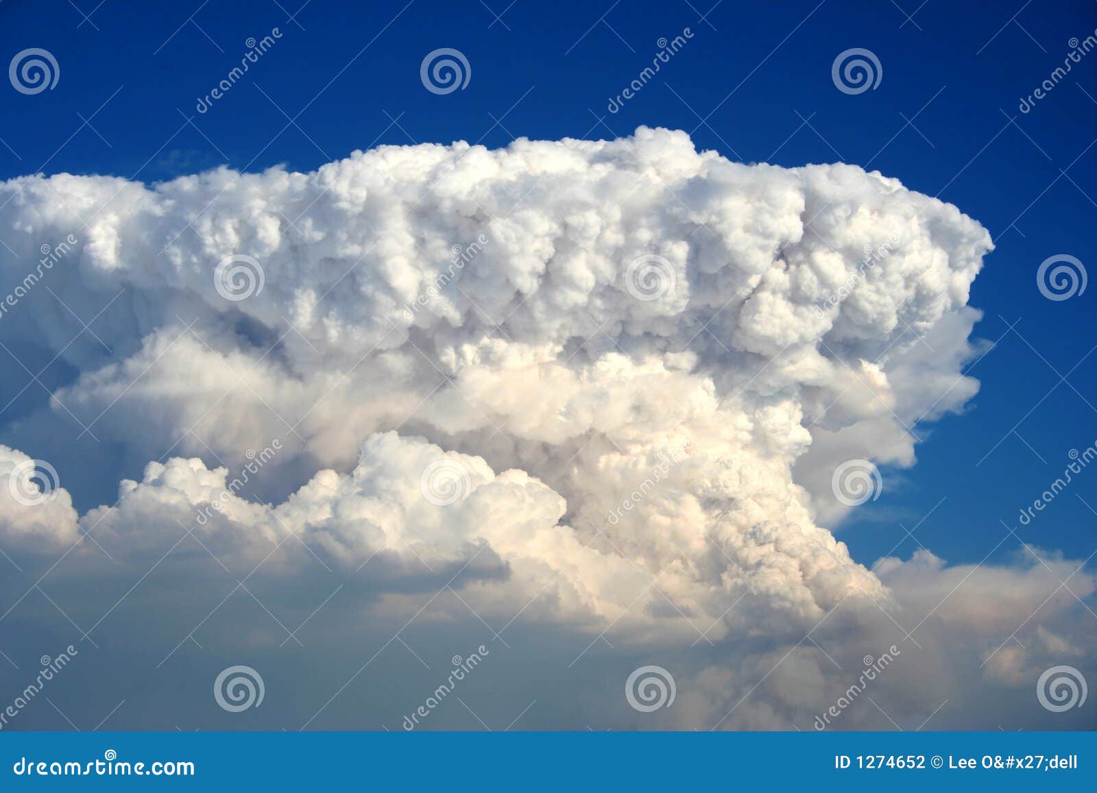Plume stock photo. Image of fire, destruction, forest - 1274652