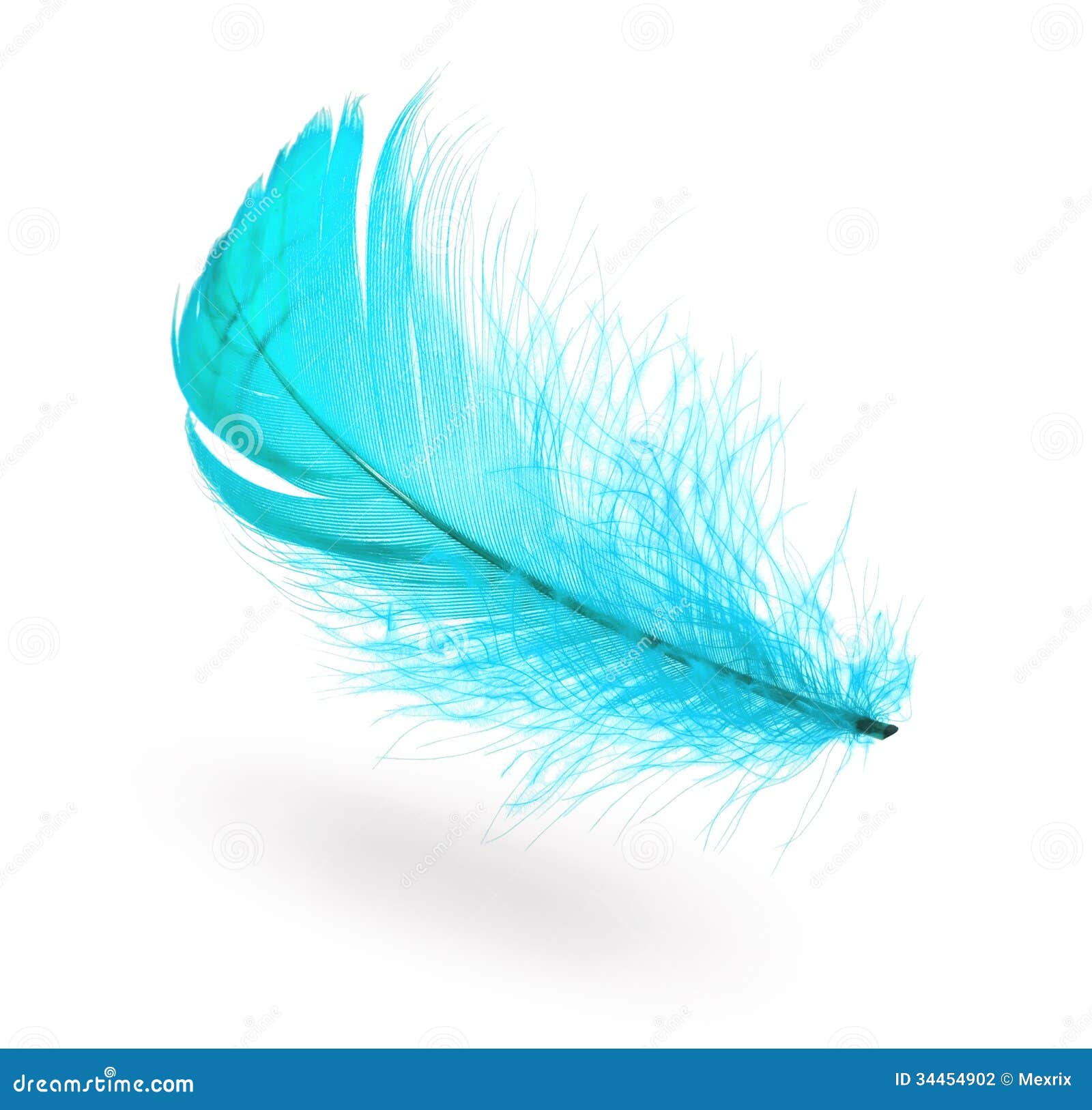 Plume bleu-clair photo stock. Image du flux, fascinant - 34454902