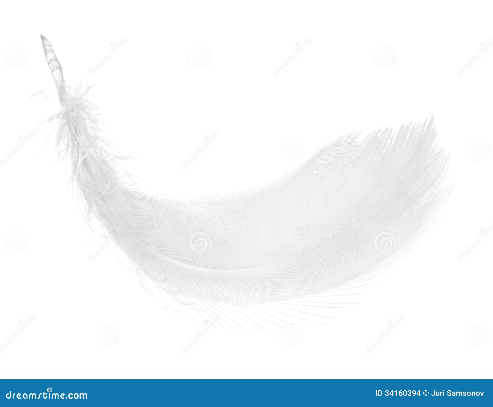 Plume, D'isolement Sur Le Fond Blanc. Photo stock - Image du pelucheux ...