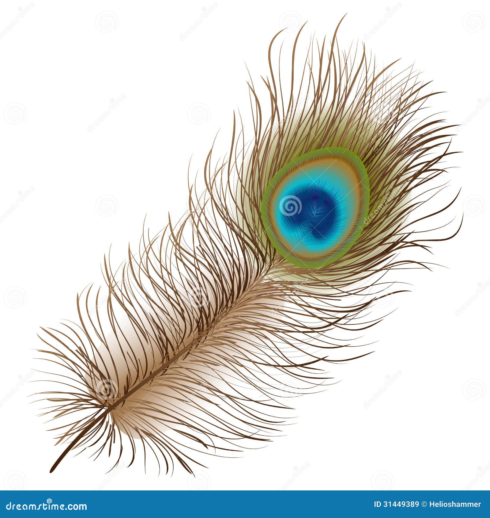 Plume de paon illustration de vecteur. Illustration du élégance - 31449389