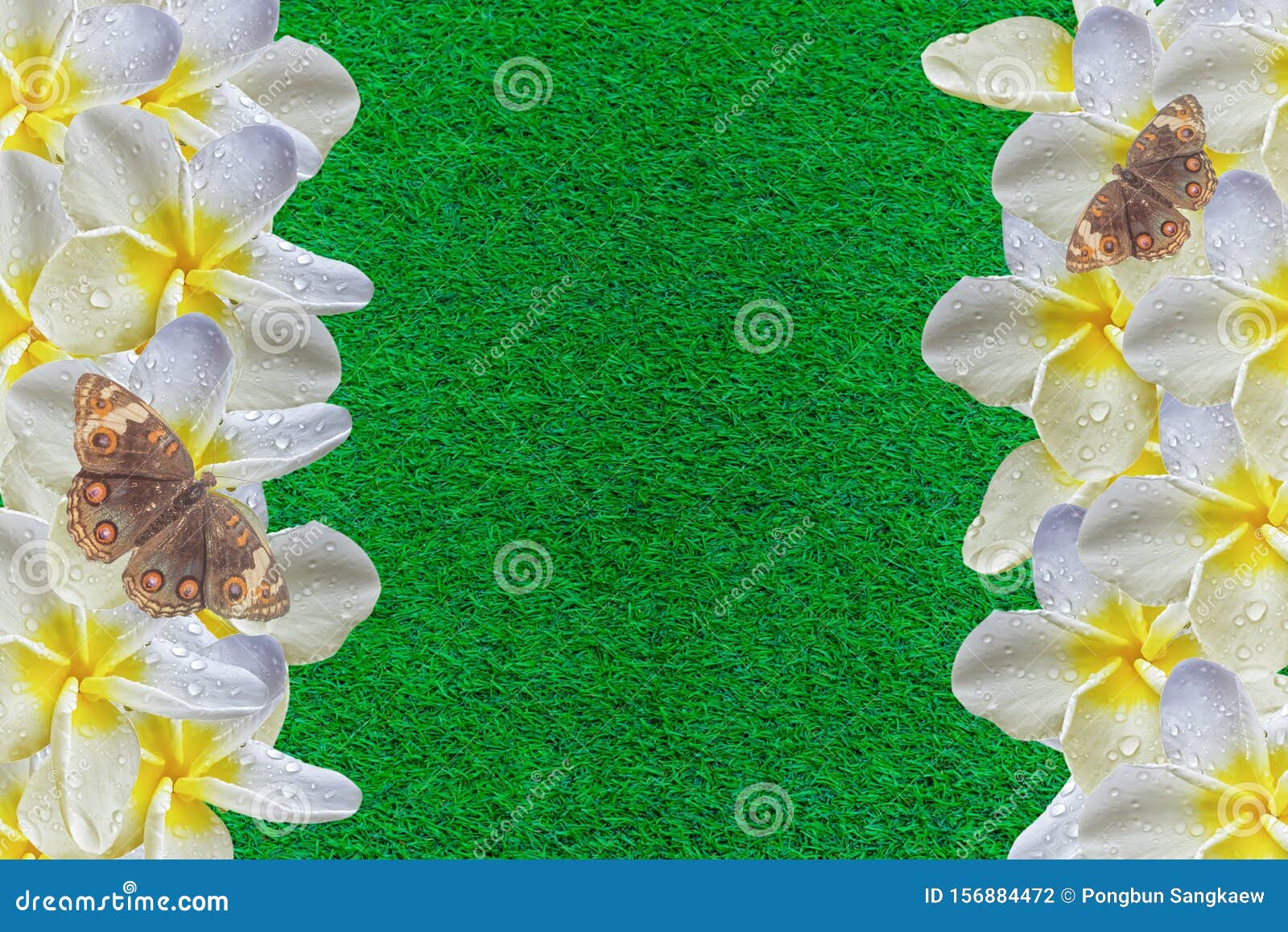 Butterfly Border Invitation Template Stock Images - Download 24 Royalty ...