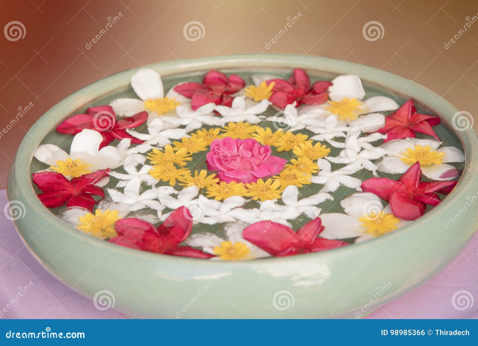 Plumeria Flowers are Refreshing Stock Photo - Image of refreshing ...