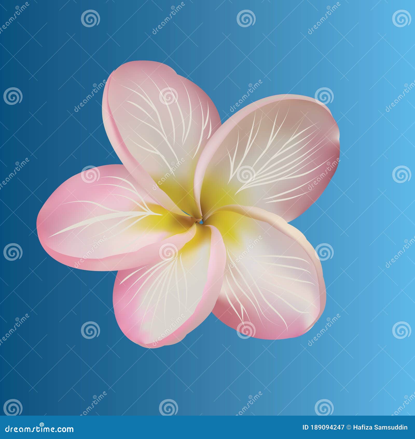 Plumeria. Vector Illustration Decorative Design Stock Vector ...