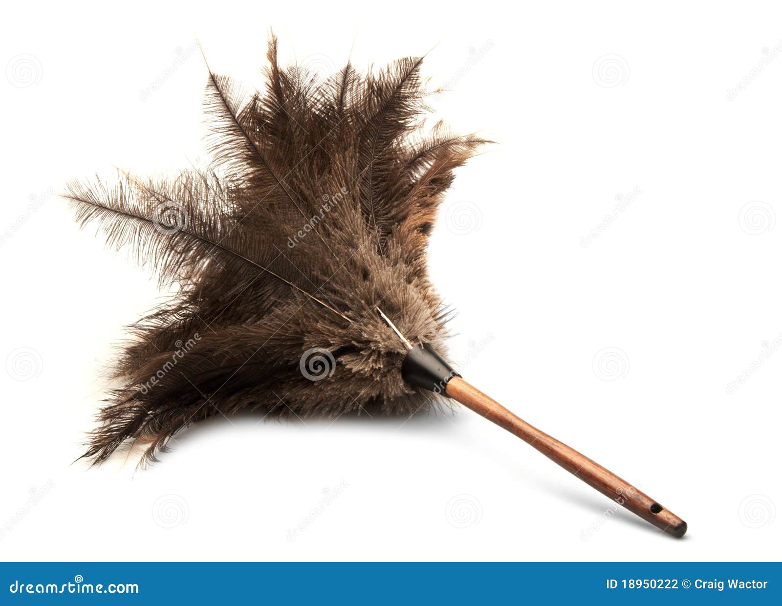 Plumero de la pluma foto de archivo. Imagen de herramienta - 18950222