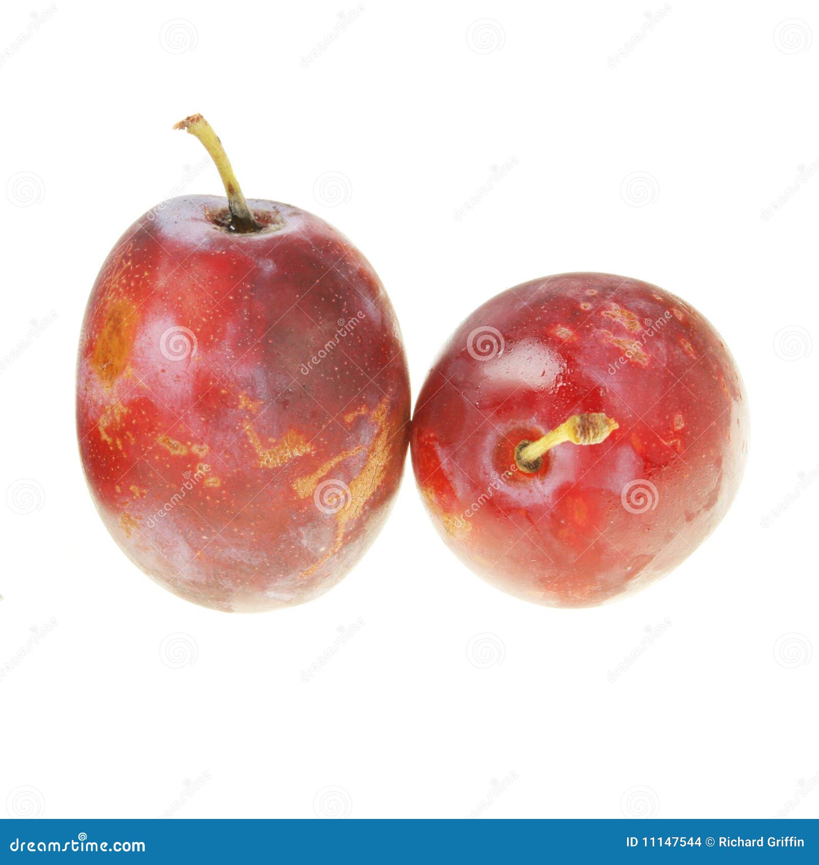 Plums stock photo. Image of soft, pair, isolated, fruit - 11147544