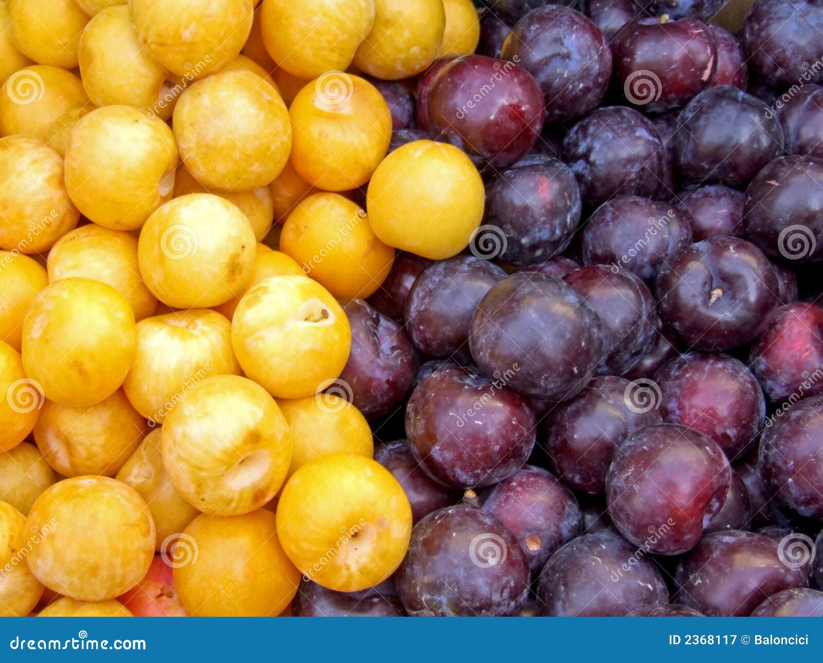 Plums stock image. Image of fruit, plums, healthy, spring - 2368117