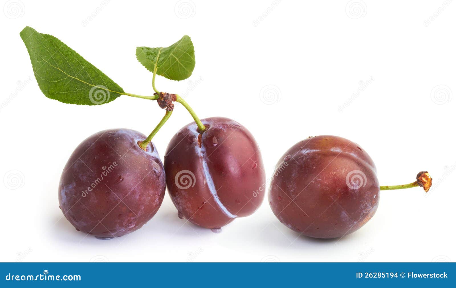Plums stock photo. Image of delicious, sweet, healthy - 26285194