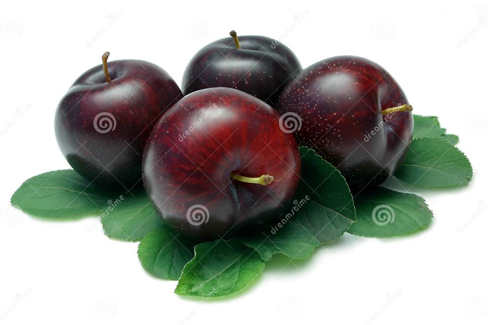 Plums stock photo. Image of white, fruit, prunus, nutritious - 2629838