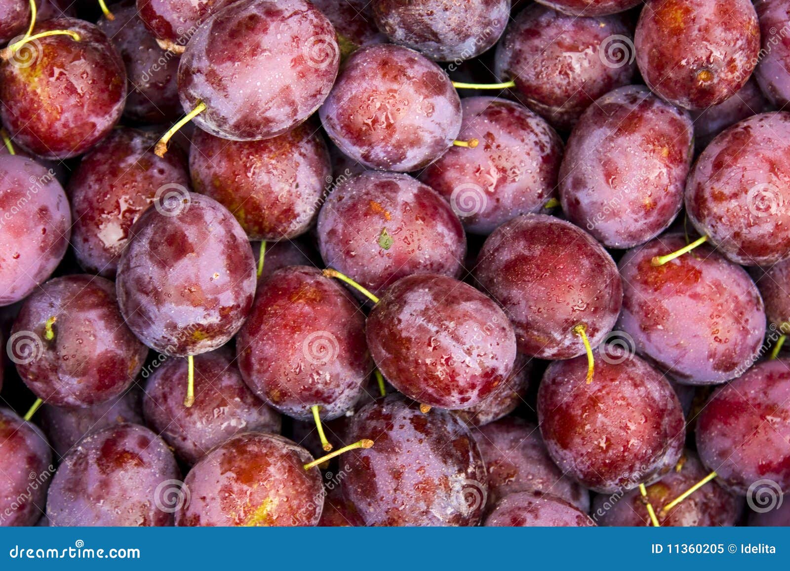 Plums Background stock image. Image of food, snack, closeup - 11360205