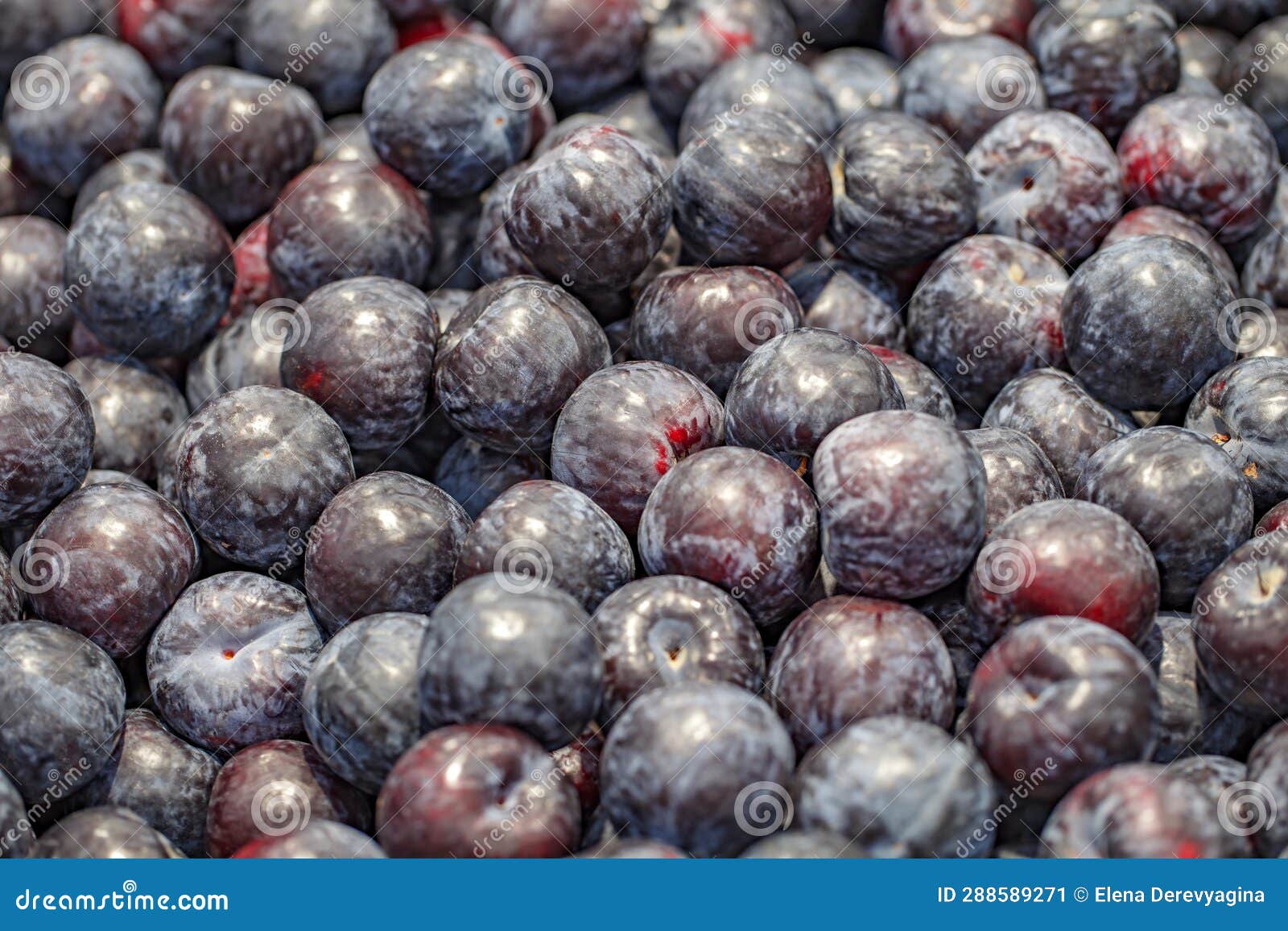 Plums Black Purple Raw in Bulk on Supermarket Stock Image - Image of ...