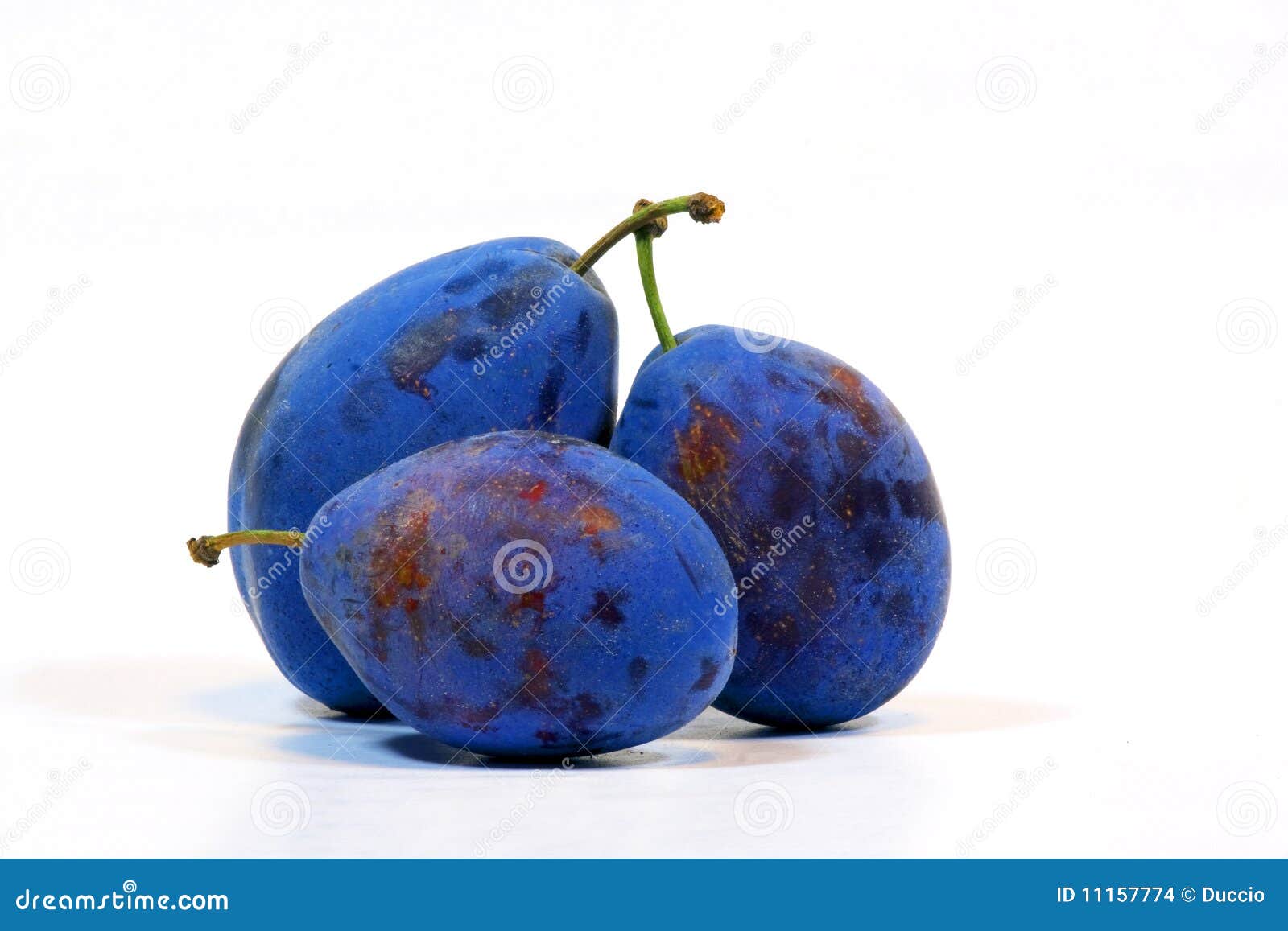 Plums blue stock photo. Image of ecology, ingredients - 11157774