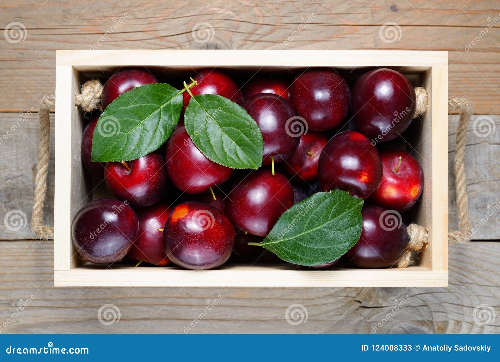 Plums in box stock image. Image of fresh, harvest, rustic - 124008333