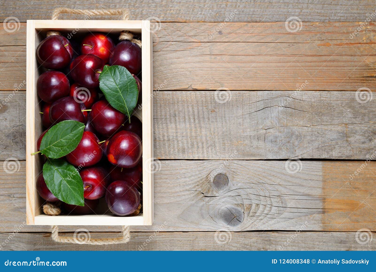 Plums in box on table stock photo. Image of food, copy - 124008348