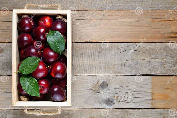 Plums in box on table stock photo. Image of food, copy - 124008348