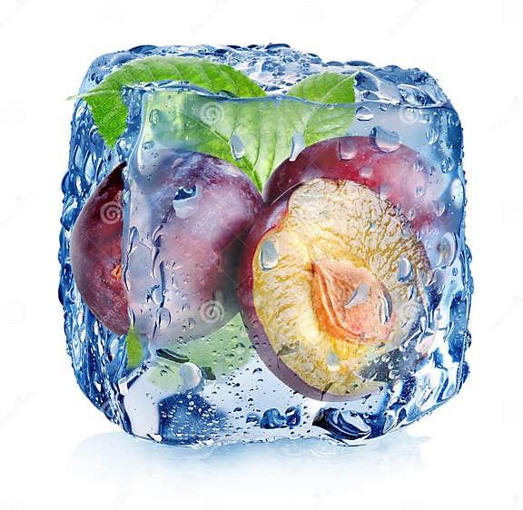 Plums in ice cube stock photo. Image of transparent, plant - 46731698