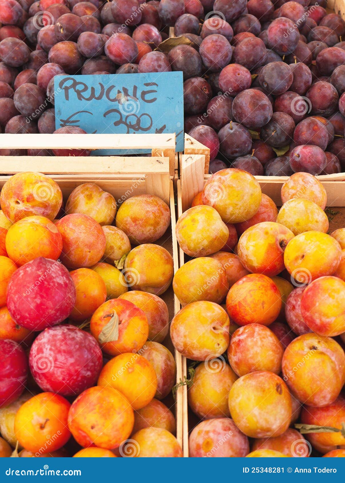 Plums at the market stock image. Image of plum, sell - 25348281