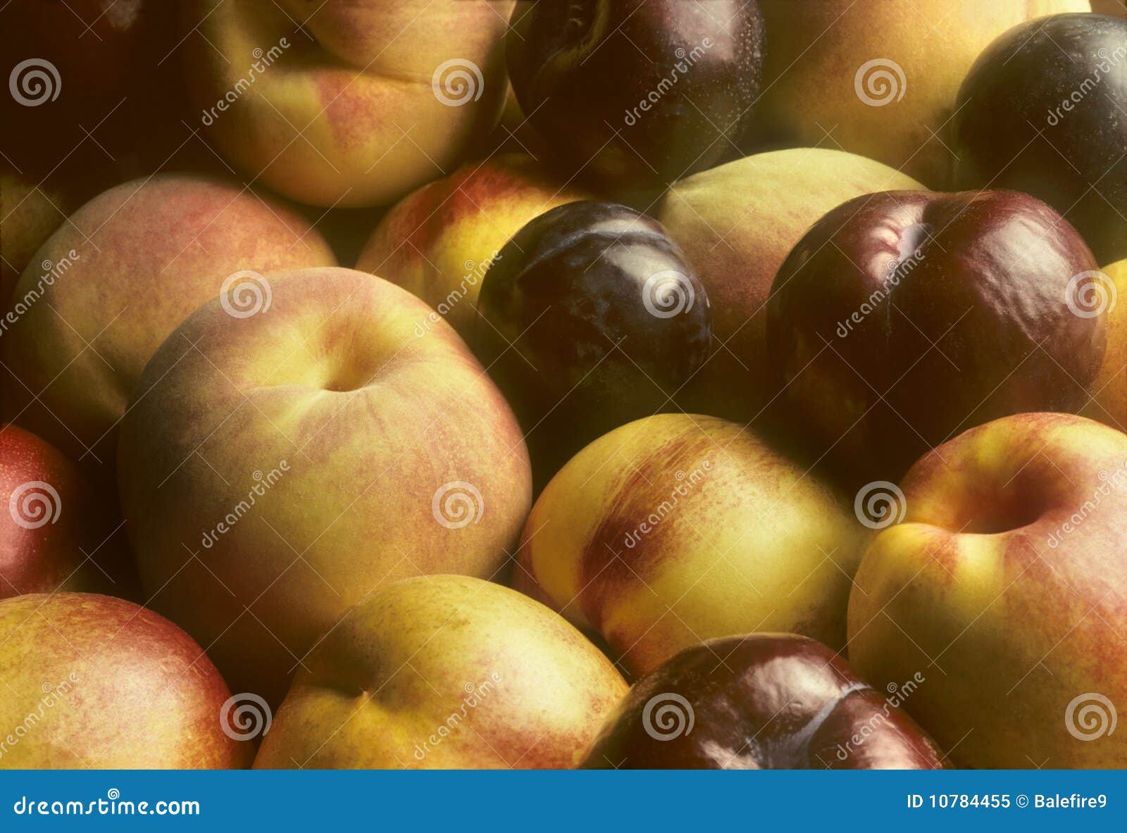 Plums, Nectarines and Peaches Piled Together Stock Image - Image of ...