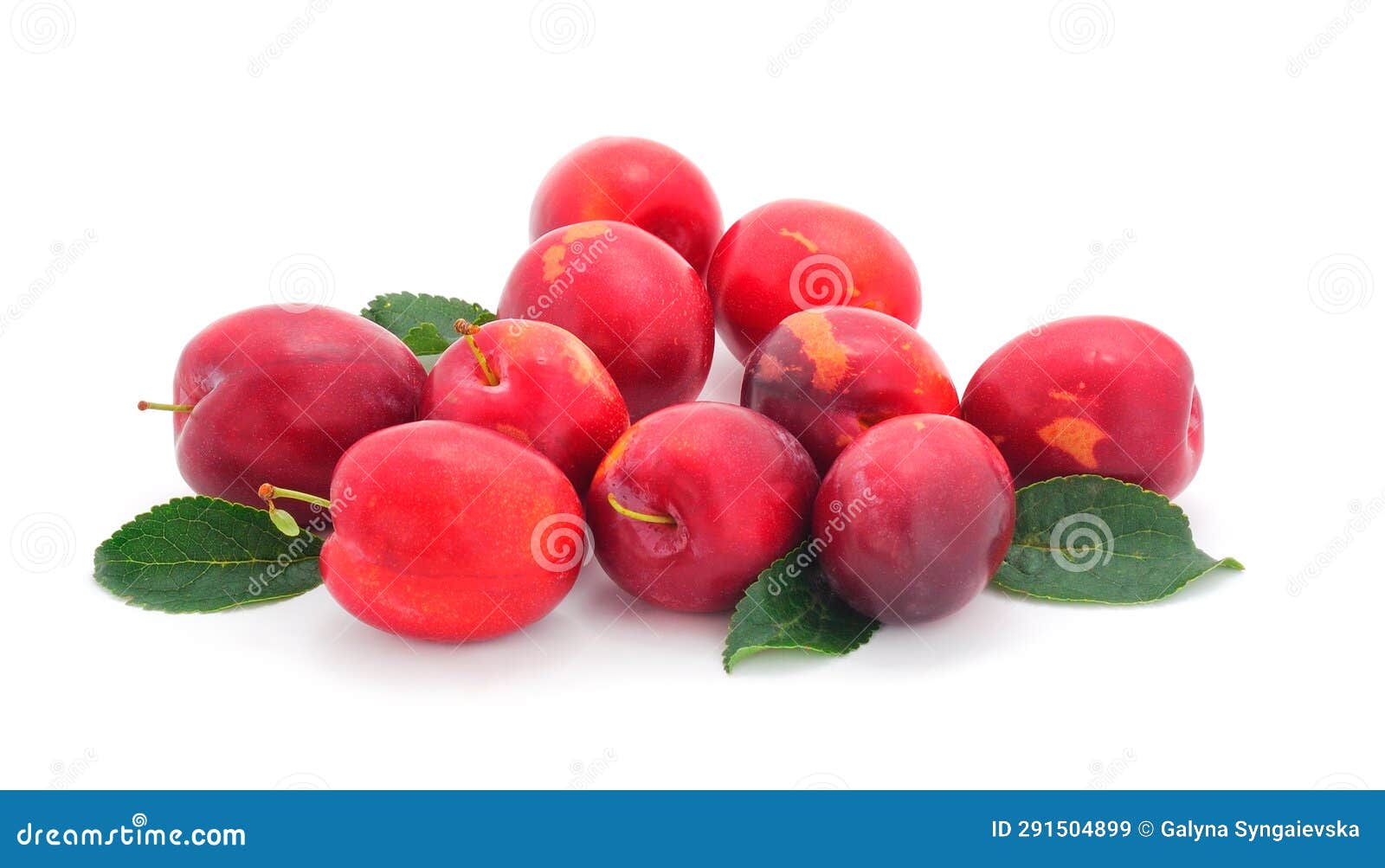 Plums Ripe Fruits, Isolated on White Stock Image - Image of studio ...