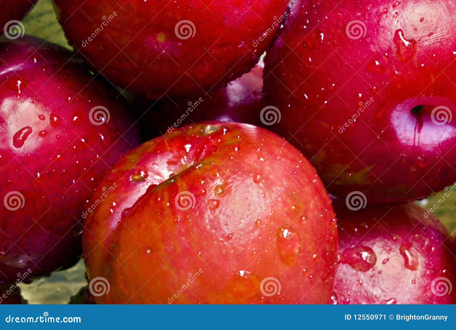 Red washed fresh plums stock image. Image of drops, prunes - 12550971