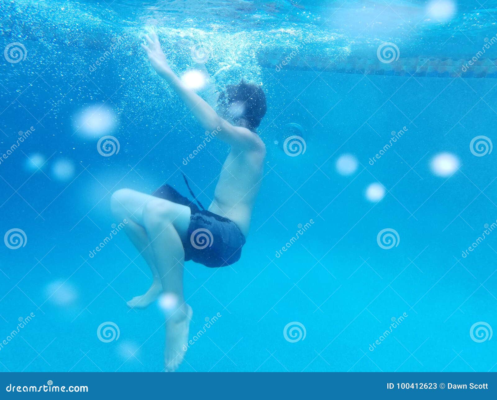 The Plunge editorial stock photo. Image of plunge, swimming - 100412623