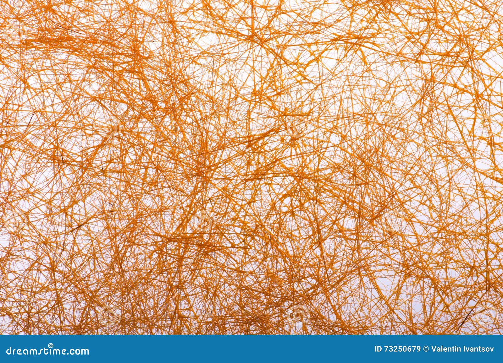 Plurality of Intertwined Threads Stock Image - Image of texture, color ...