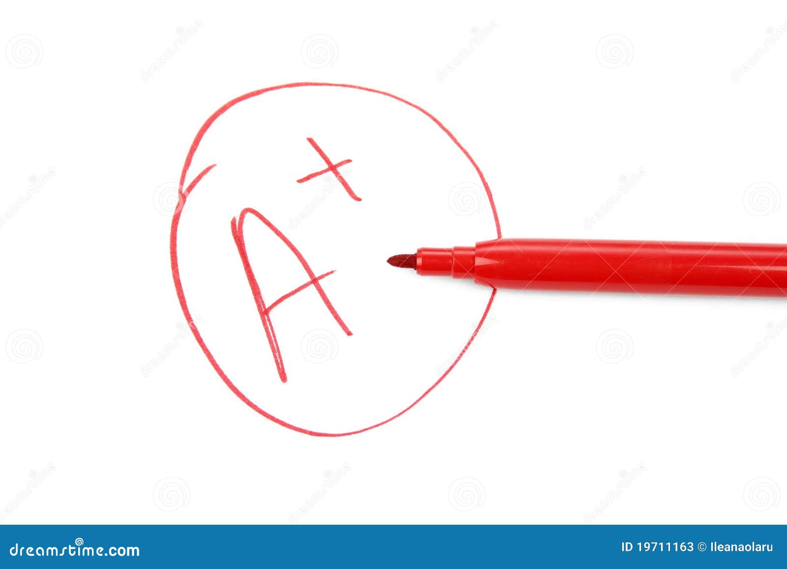 A plus stock image. Image of proud, examination, correct - 19711163