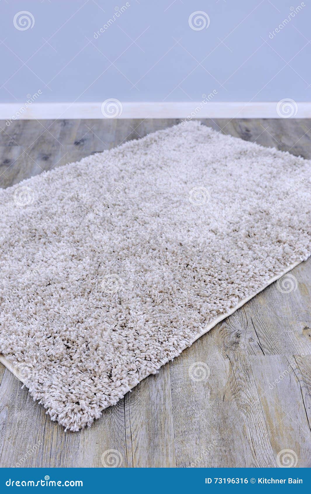 Plush Floor Rug stock illustration. Illustration of spruce - 73196316