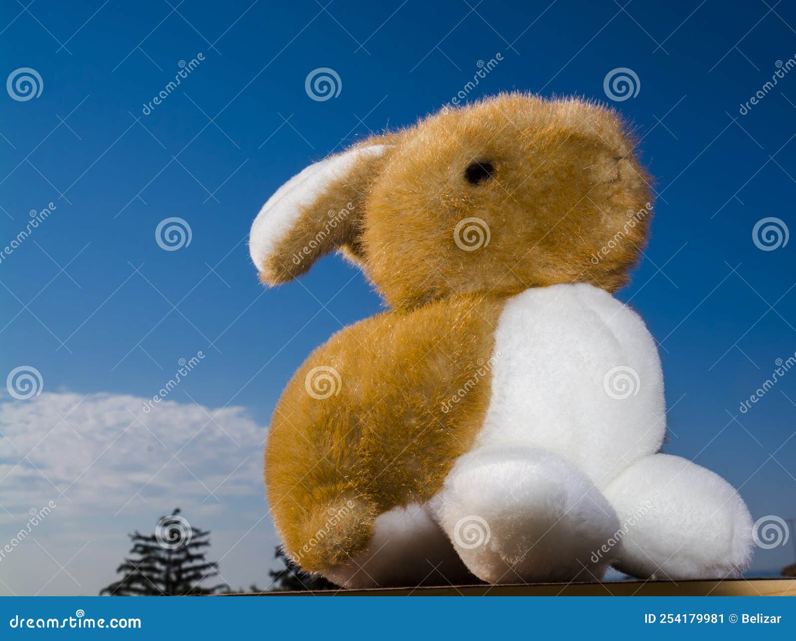 Plush Puppet and with the Blue Sky in Summer Stock Image - Image of ...