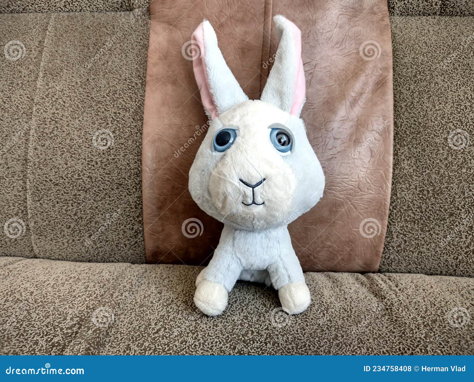 Plush rabbit on a couch stock photo. Image of rabbit - 234758408