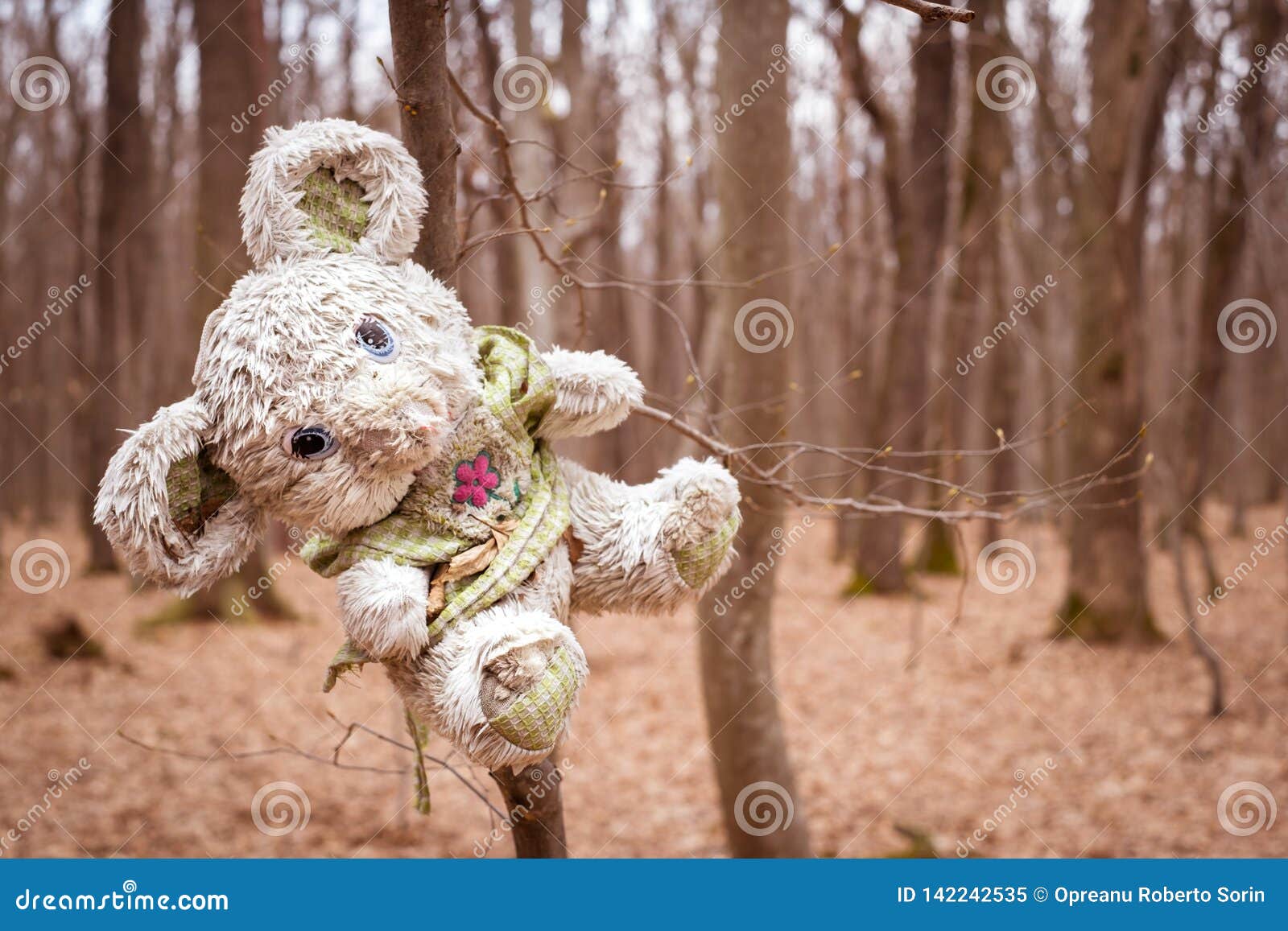 Plush Toy Abandoned in the Forest Stock Image - Image of ...