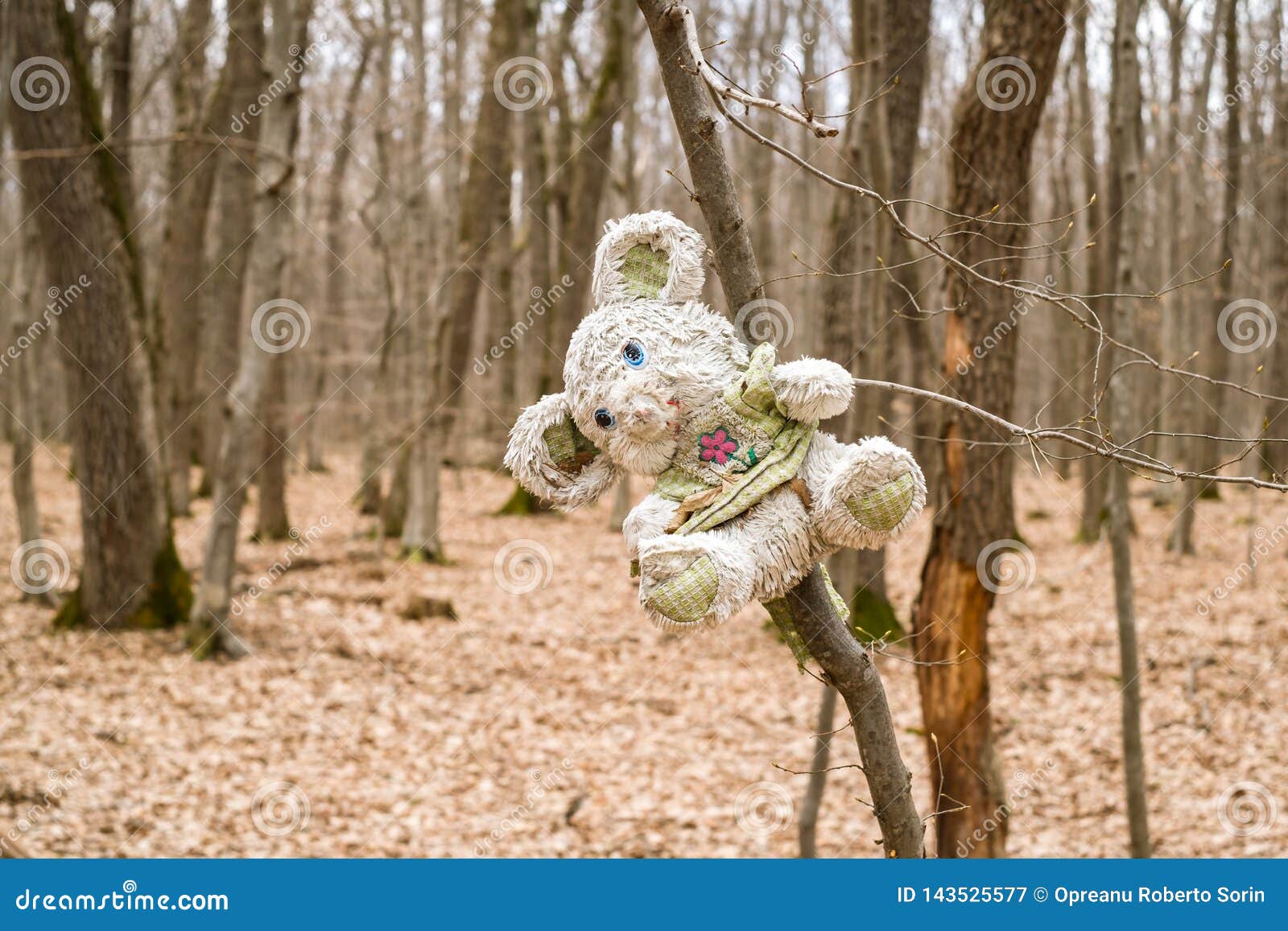 Plush Toy Abandoned in the Forest Stock Image - Image of date, idea ...