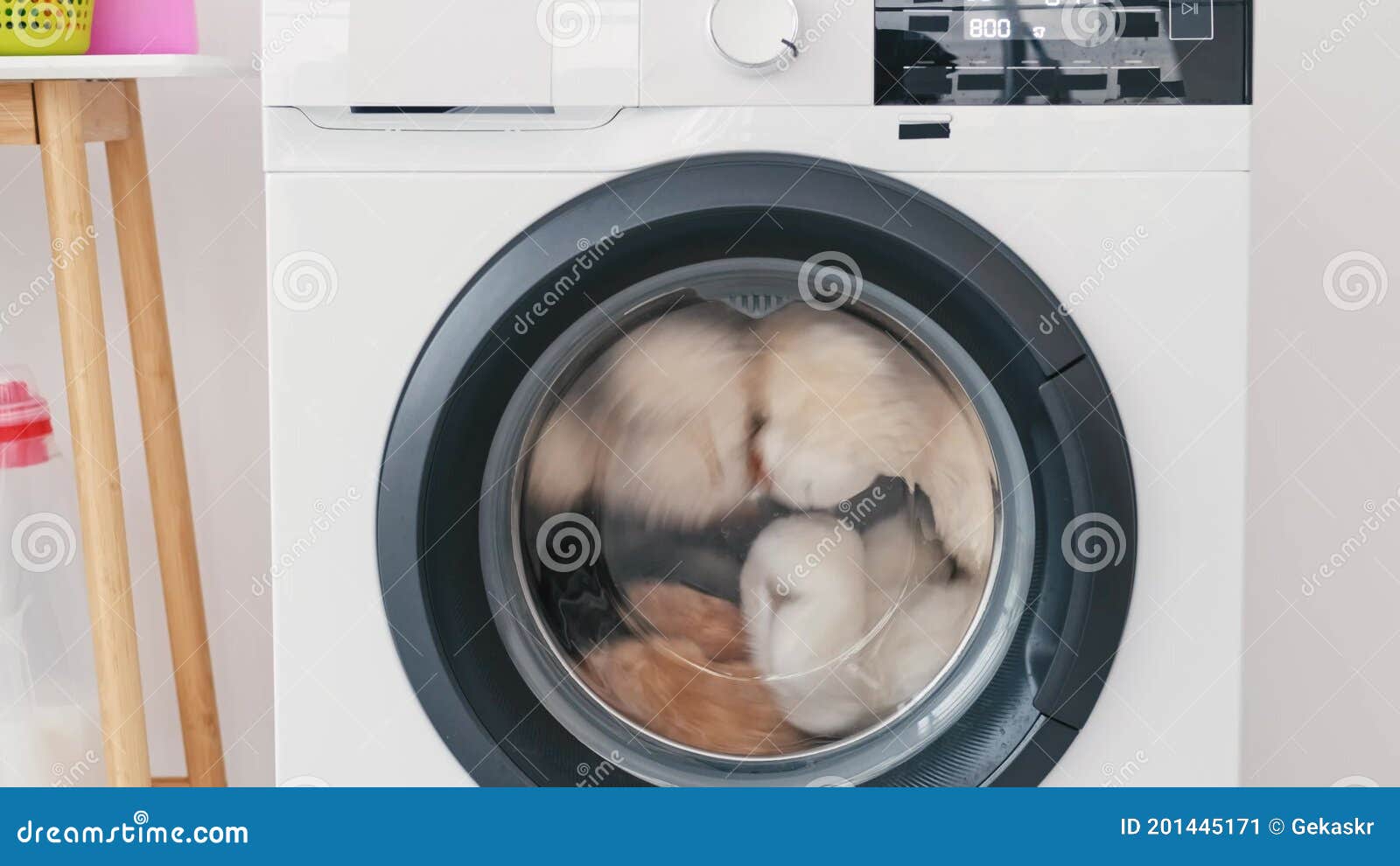 Plush Toys Rolling Inside of Washing Machine Stock Video - Video of ...