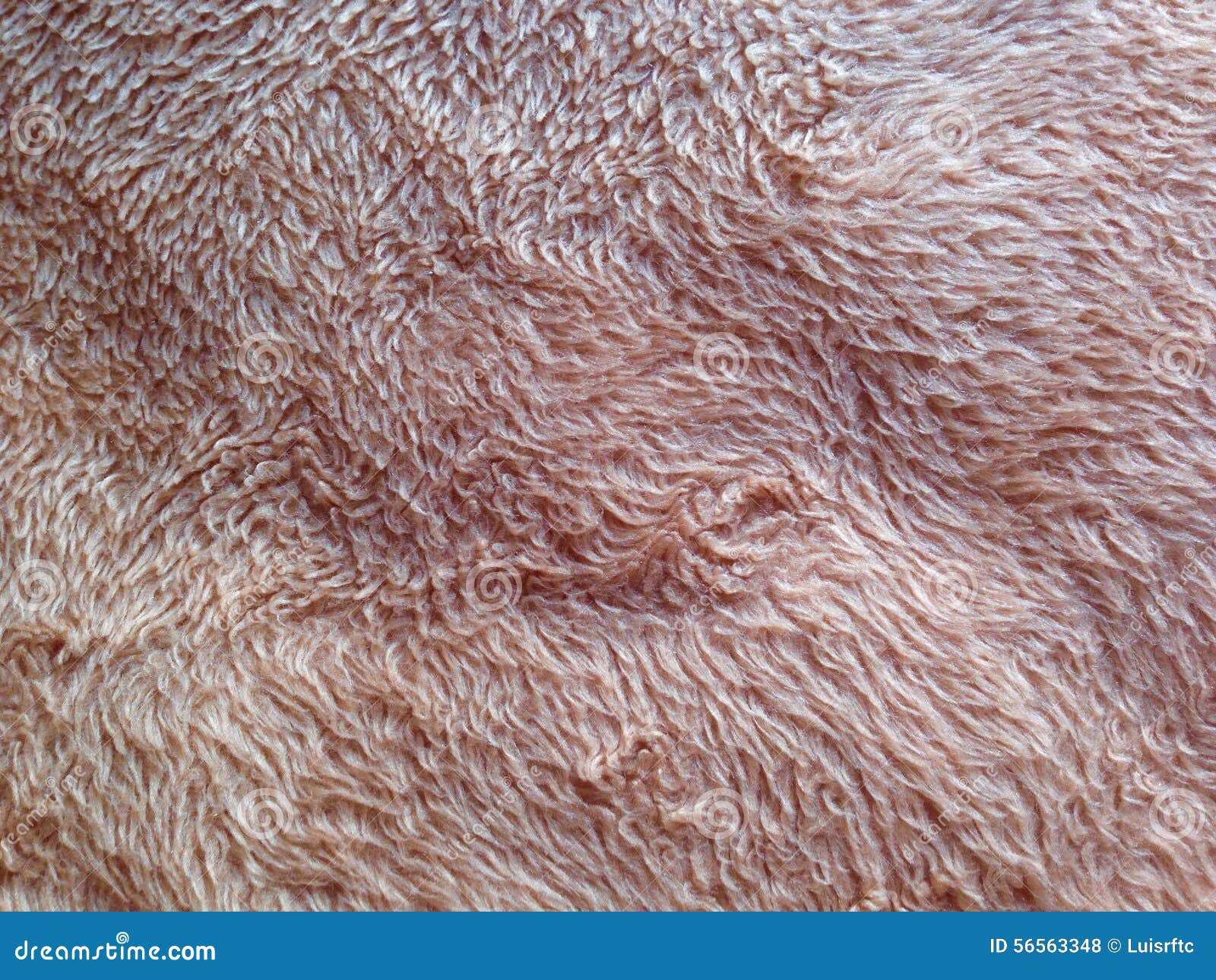 Plushy blanket stock photo. Image of fuzzy, brown, wrap - 56563348
